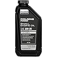Amazon.com: Polaris Synthetic Oil 5W-30 SAE for Portable Generators ...