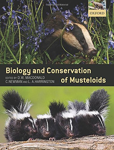 Amazon.com: Biology and Conservation of Musteloids: 9780198759805 ...