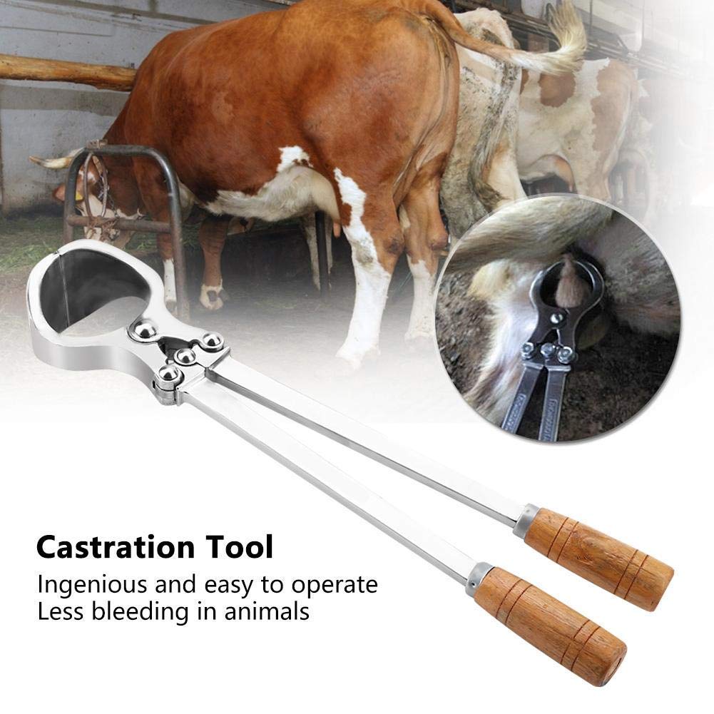 Instruments Veterinary Castration Tools Castration Emasculate Pliers ...