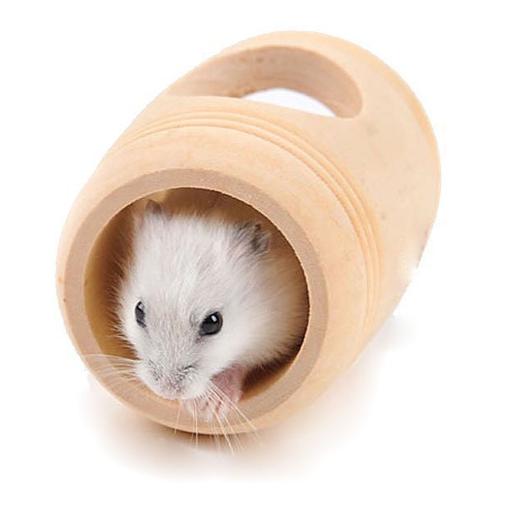 Da.Wa Wooden Hamster Toys Wood Hamster Playing Chewing Pet Toy for ...