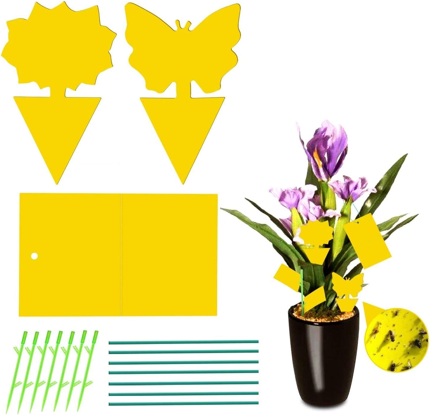 Jane Choi Yellow Sticky Fly Traps, Fly Paper Stickers, Sticky Fly ...