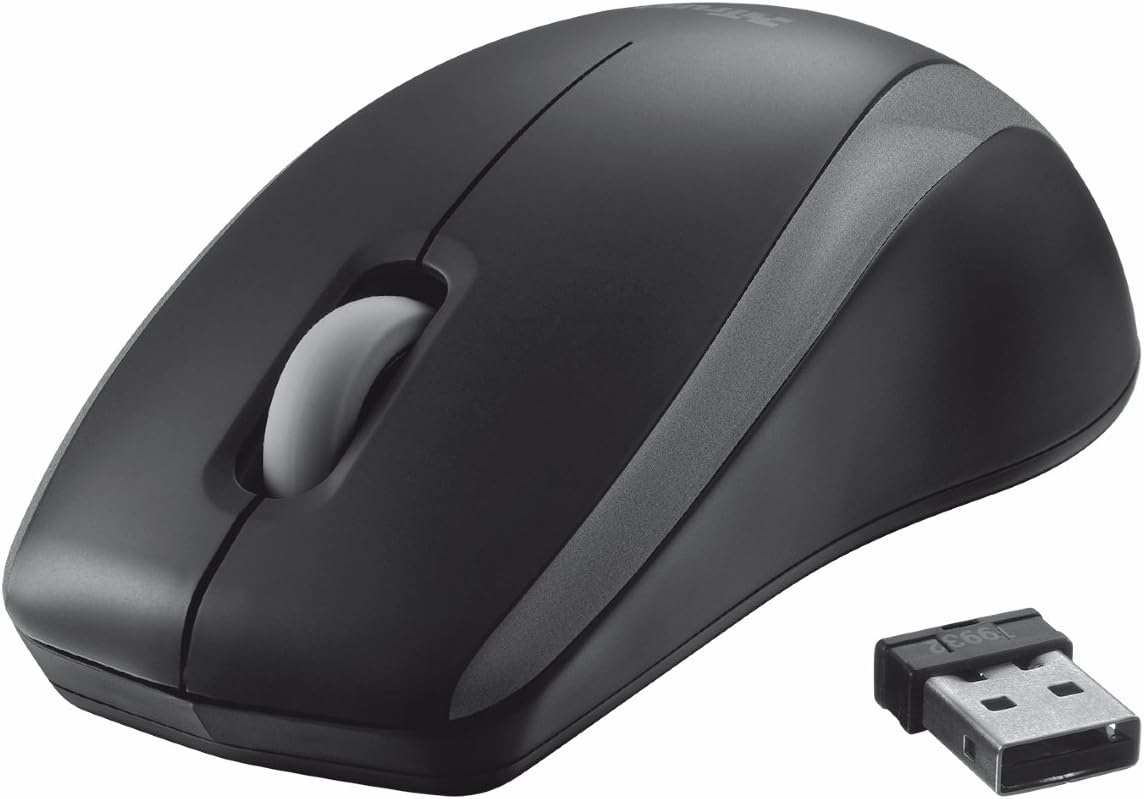 Trust Carve Wireless Mouse for PC, Tablet – Black – BigaMart