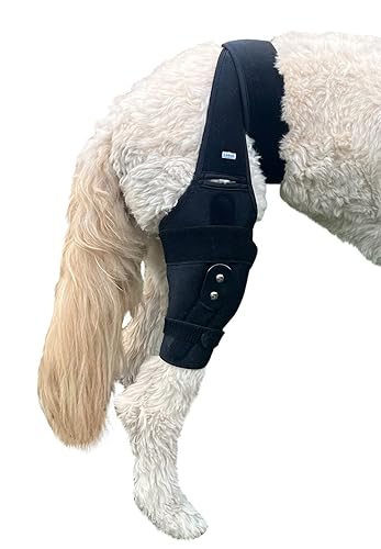 Labra Dog Canine Knee Stifle Brace Wrap, Metal Splint Hinged Flexible ...