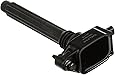 Amazon.com: Delphi GN10616 Ignition Coil: Automotive