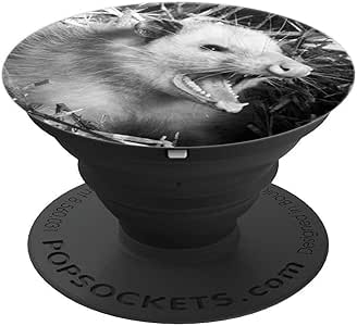 Amazon.com: Opossum Possum Animal Happy Screaming Cute Wild Animal ...
