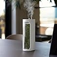 Amazon.com: Mosslab Moss Air – Living Moss Terrarium Humidifier ...