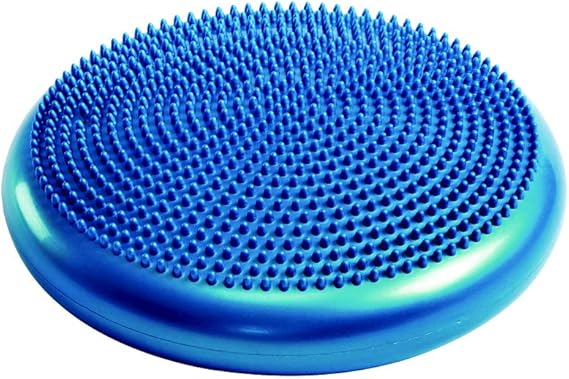 Amazon.com: Ball Dynamics Sit Disc Large 14" (Item # AP9620): Furniture ...