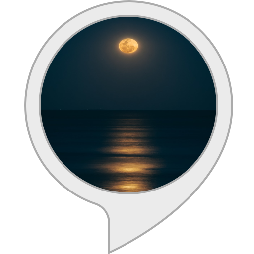 Good Night : Amazon.in: Alexa Skills