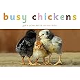 Busy Chickens (A Busy Book): Schindel, John, Holt, Steven ...