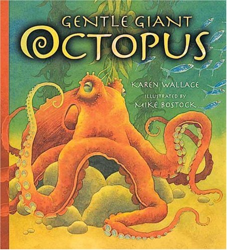 Gentle Giant Octopus | Amazon.com.br