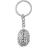 Amazon.com: Anatomology 00030 Brain Key chain: Industrial & Scientific