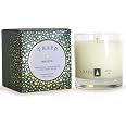 Amazon.com: Trapp Seasonal Collection White Fir Poured Scented Candle ...