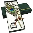 Amazon.com: Feather Quill Pen Ink Set-Vintage Peacock Feather Pen with ...