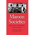 Maroon Societies: Rebel Slave Communities in the Americas: Richard ...