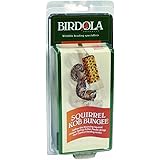 Amazon.com : Songbird Essentials SQUD Squngee Bungee Cord : Squirrel ...