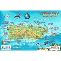 Puerto Rica Surf Map Culebra, Puerto Rico, Fish Card – Franko Maps
