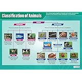 Amazon.com: Habitats Poster Pack - Set of 3 | Science Posters ...