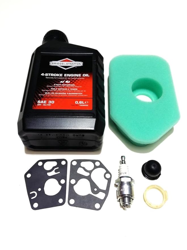 Briggs and Stratton Lawn Mower Service Kit Suitable for the Classic and ...