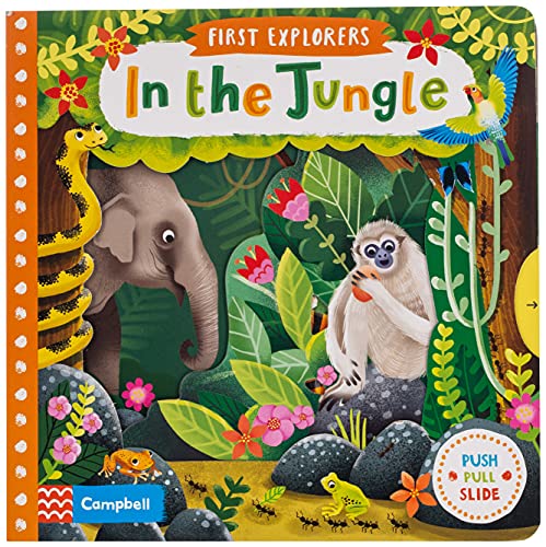 In the Jungle (First Explorers): 9781509832606: Amazon.com: Books