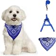 Amazon.com : Kwan Dog Cat Small Puppy Harness Collar Leash Traction Kit ...