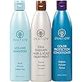 Amazon.com : Ovation Hair 3-Step Bundle - Volume Shampoo, Cell Therapy ...