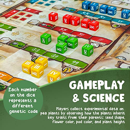 Genotype: A Mendelian Genetics Game - A Mensa Award Winning Science ...