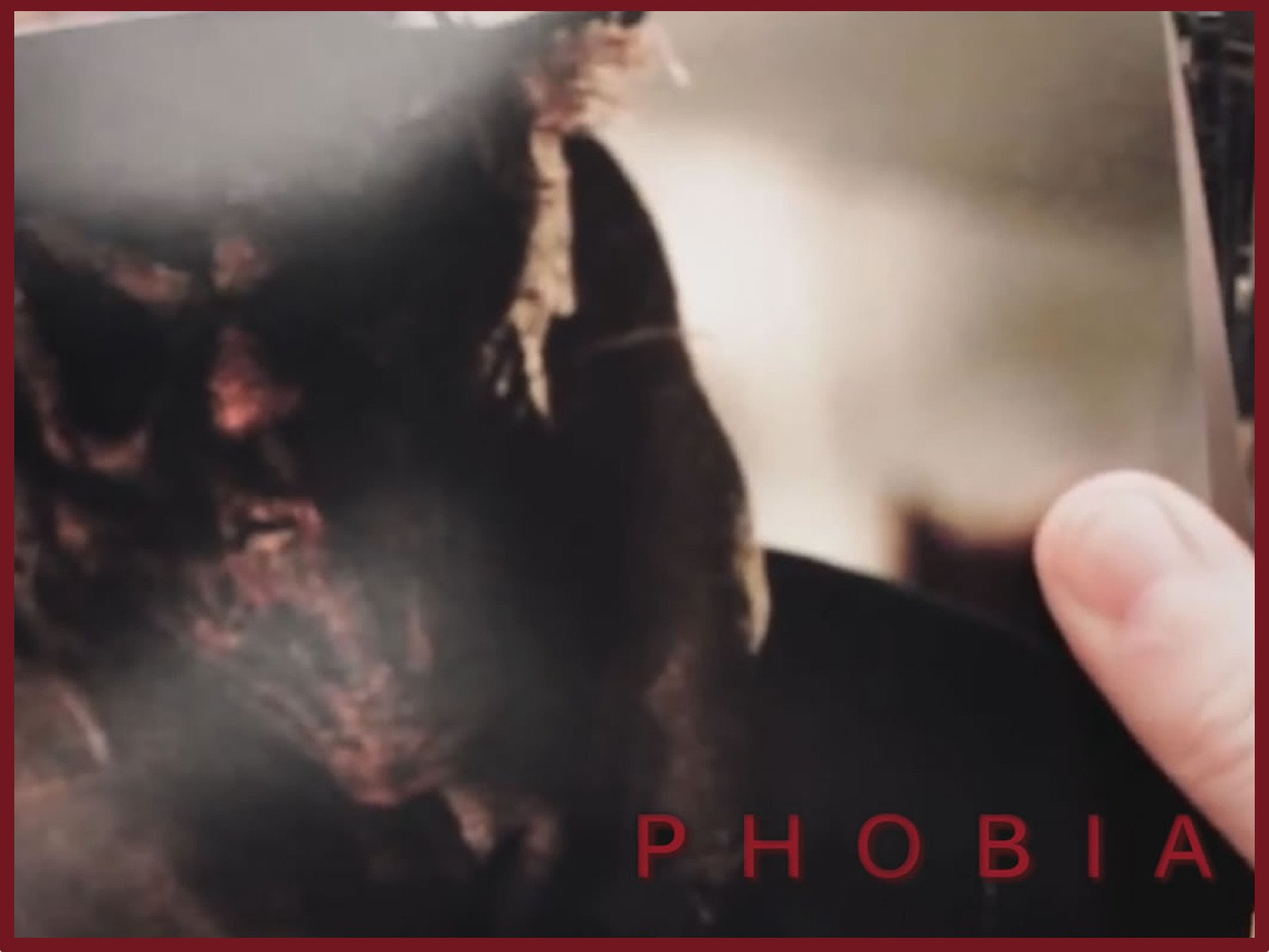Watch Phobia | Prime Video