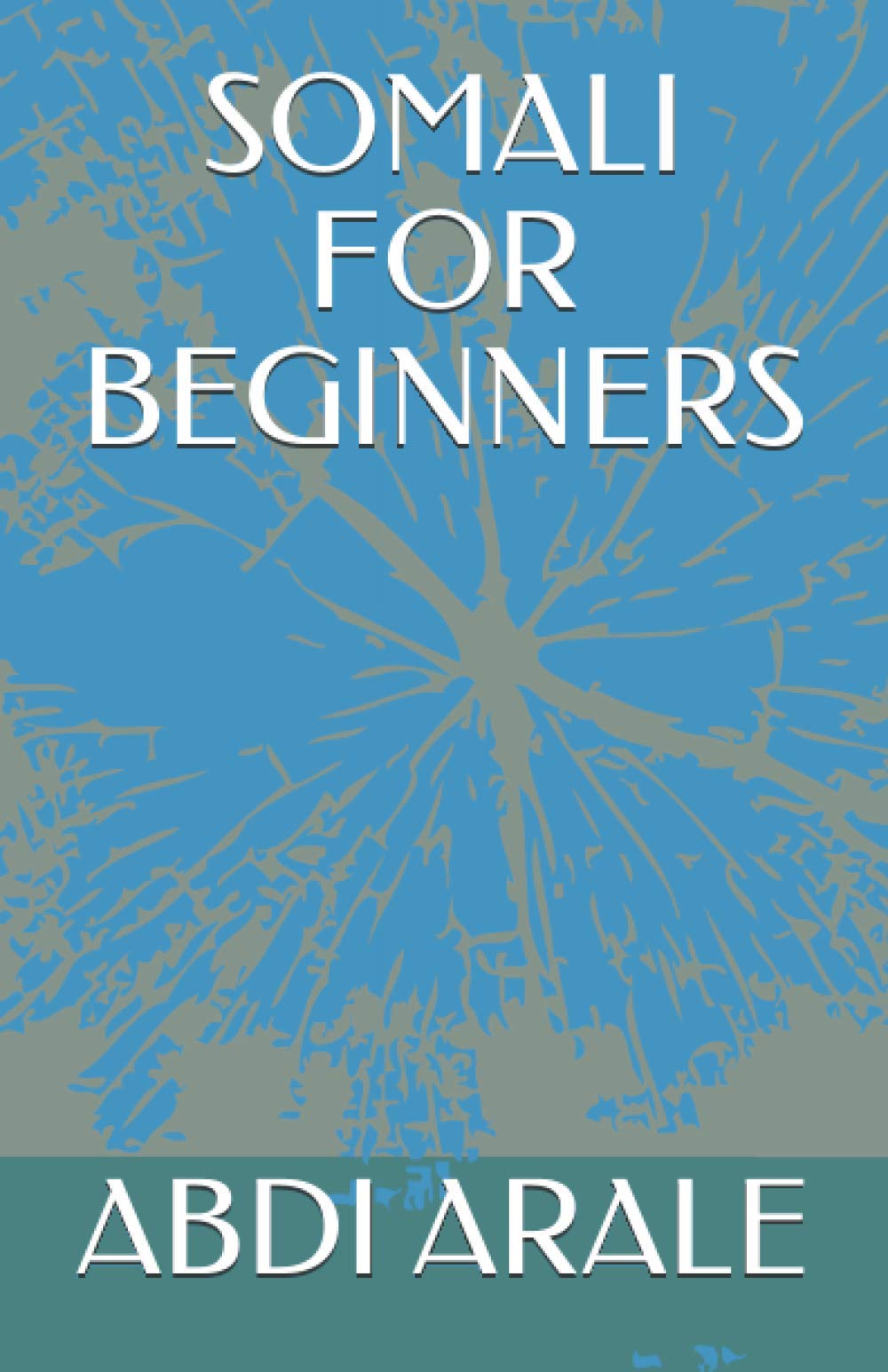 SOMALI FOR BEGINNERS HolidayNomad SOMALI FOR BEGINNERS HolidayNomad