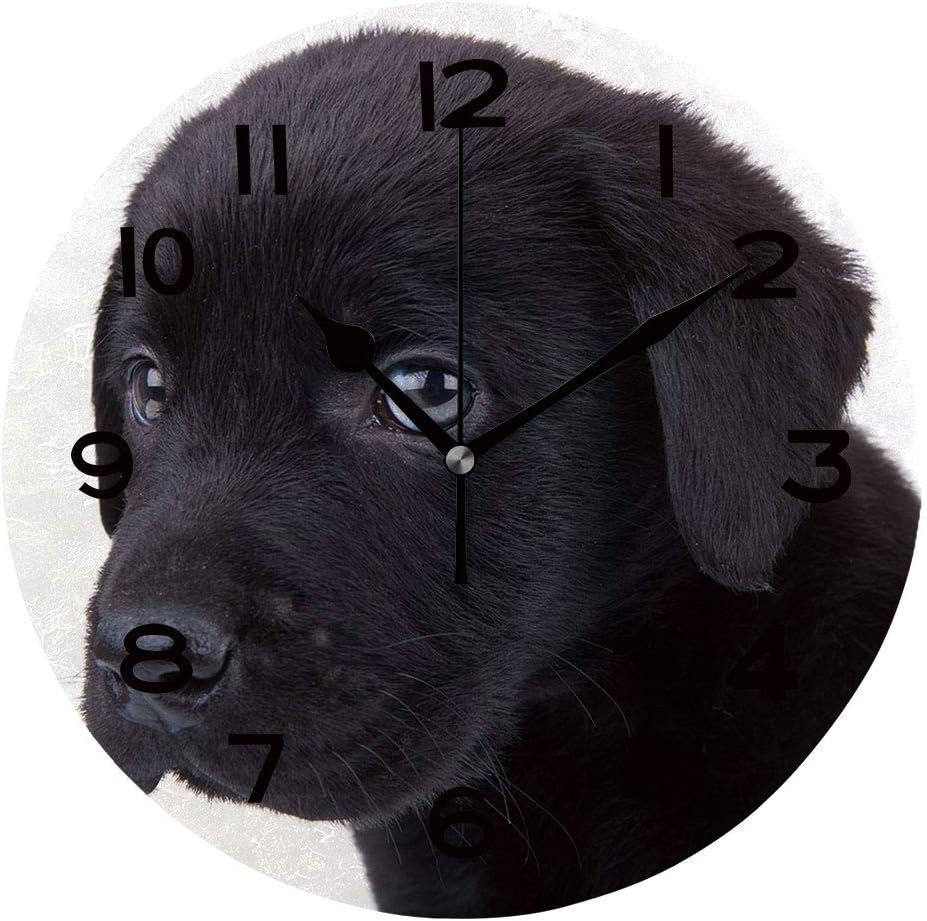 Dog Lab Clock at Isla Lascelles blog
