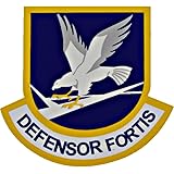 Amazon.com: Defensor Fortis Air Force Security Force Clear Decal ...