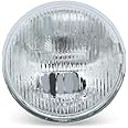 Amazon.com: Replacement for Wagner 4449 Light Bulb by Technical ...