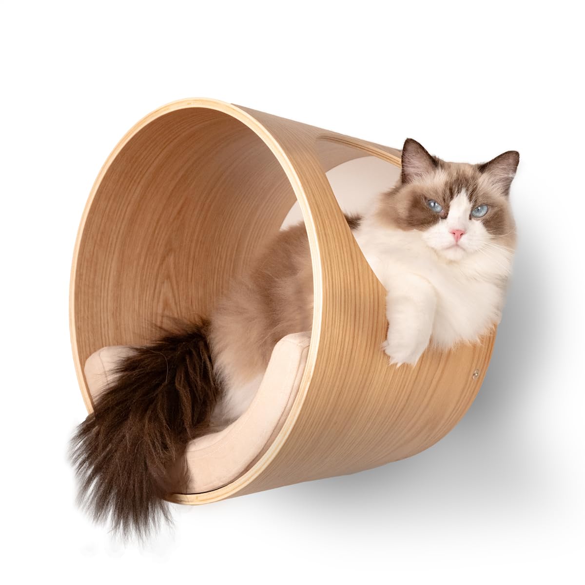CHEERHOME PETS Round Cat Wall Bed Cat Shelves for Large Cat Wall ...