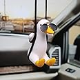 Amazon.com: Swinging Duck Rear View Mirror Accessories, Sunglasses Duck ...