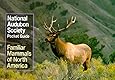 National Audubon Society Pocket Guide to North American Birds of Prey ...