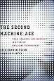 The Second Machine Age: Work, Progress, and Prosperity in a Time of ...