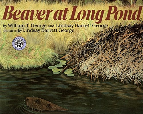 Beaver at Long Pond: George, Lindsay Barrett, George, Lindsay Barrett ...