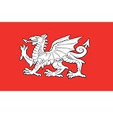 5ft x 3ft Old Historic England Richard Lionheart Material Flag: Amazon ...