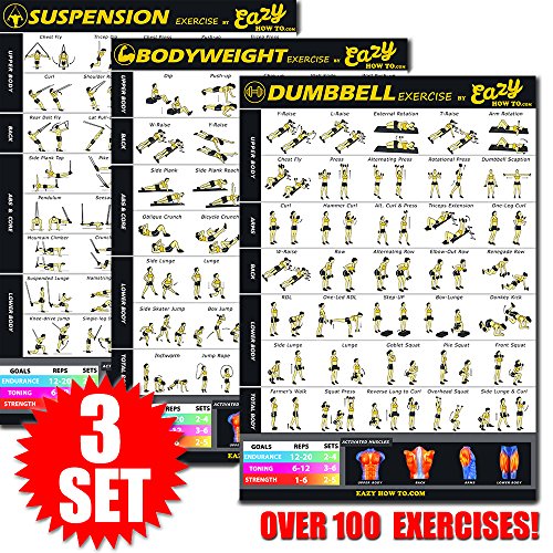Buy Eazy How To 3 Pack Bundle Exercise Workout BIG 20 x 28" Train ...
