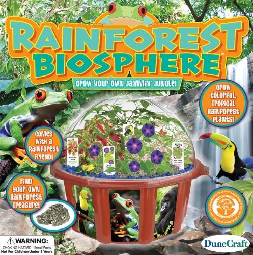 70 FREE Rain Forest Resources 70-free-rain-forest-resources