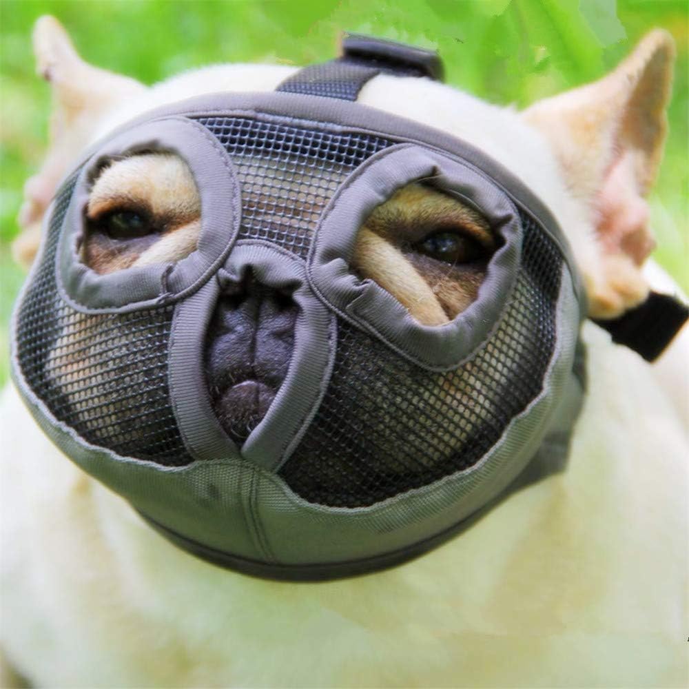 Amazon.com : JWPC Short Snout Dog Muzzle Adjustable Bulldog Muzzle ...