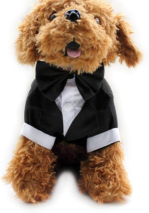 GHJNB Camisa de Verano para Perros, cómodo Cachorro de Manga Corta ...