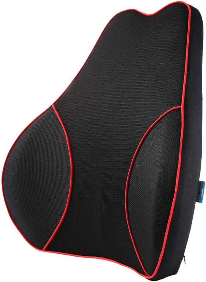 Coussin Dorsal/Soutien Lombaire, Dossier Orthopédique En Mousse ...