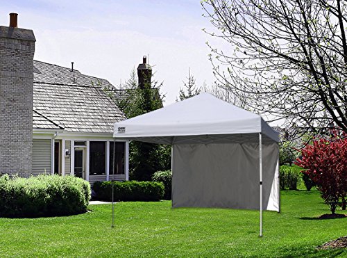 Quik Shade Commercial C100 10'x10' Instant Canopy with Wall Panel ...
