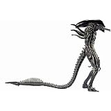 Amazon.com: Hiya Toys Exquisite Mini Series 1/18 Scale 5 Inch Alien ...