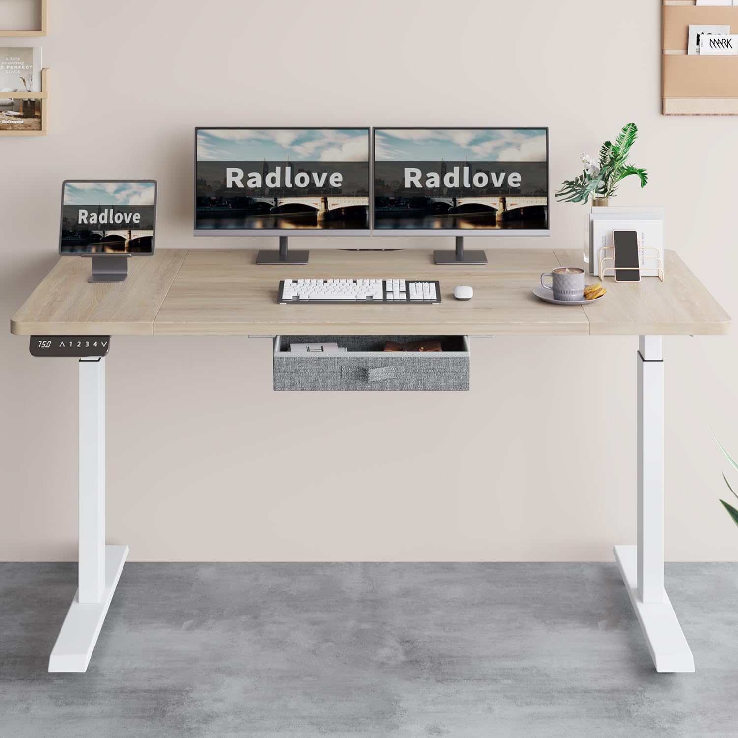 Radlove Dual Motors Height Adjustable 63 x 30'' Electric Standing Desk ...