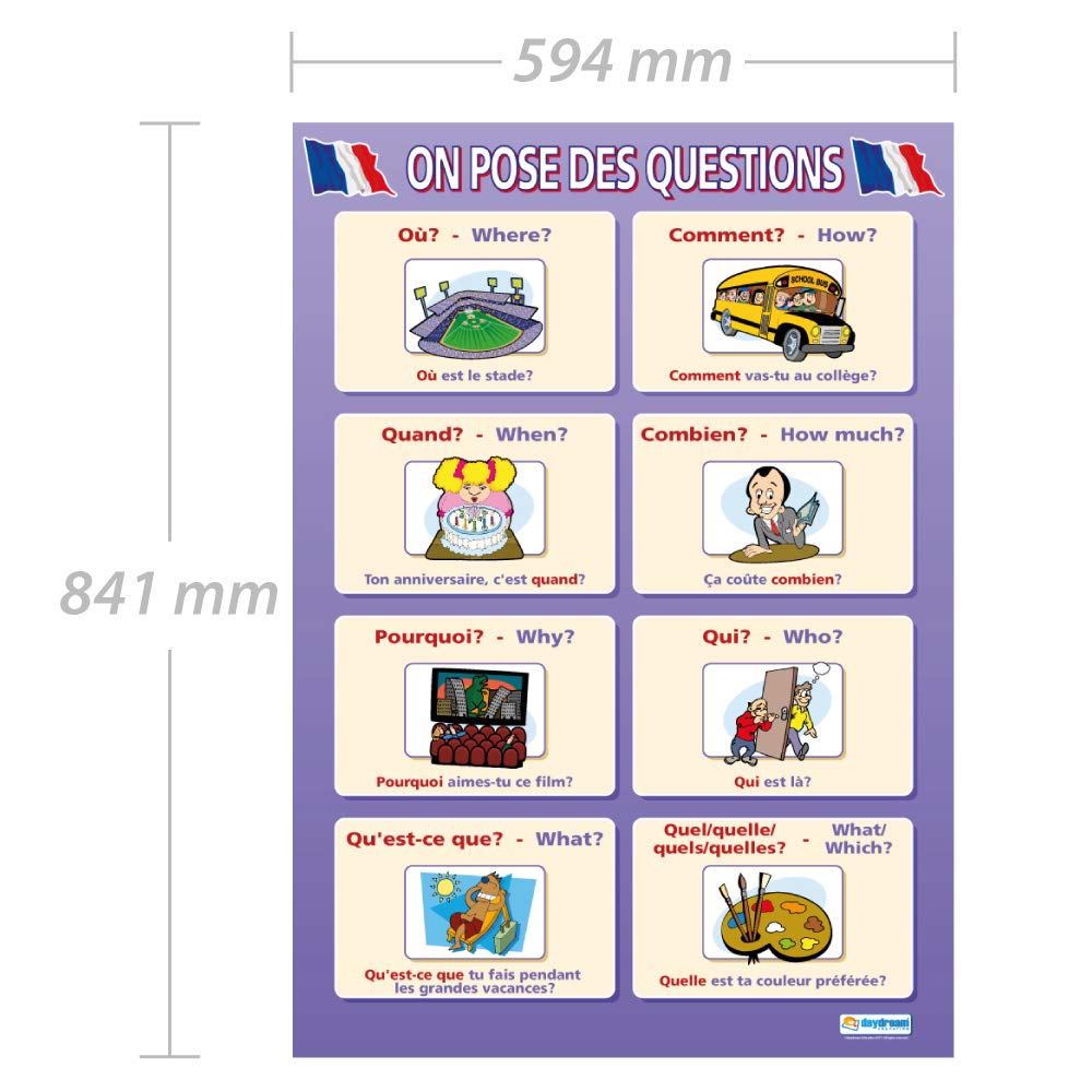 On Pose des Questions | Language Learning Posters | Gloss Paper ...