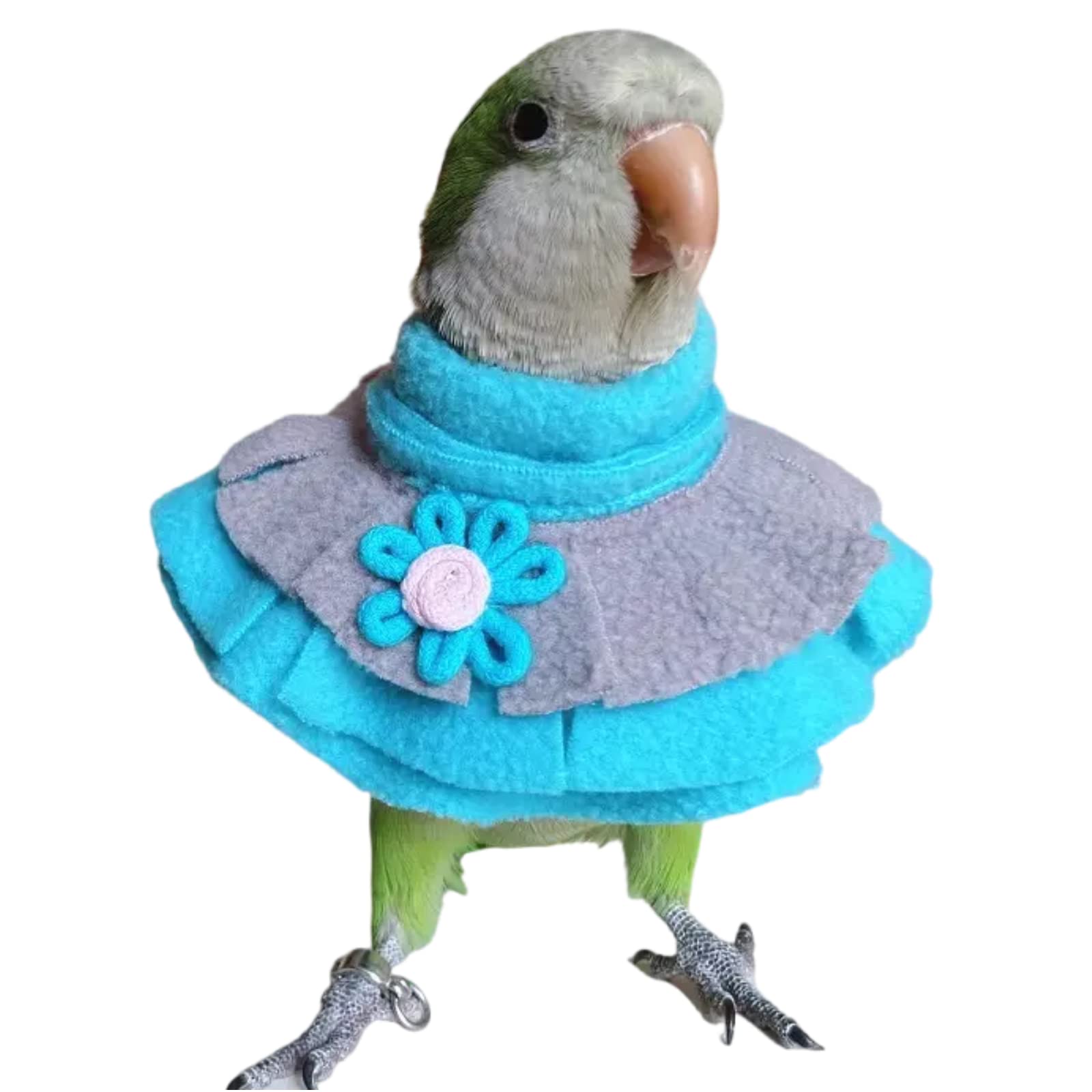 Bird Collar Anti Bite Elizabethan Recovery Cone, Bird Neck Protector ...