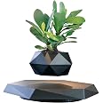 Amazon.com : INOVAXION Levitating Floating Plant& Flower Pot, Magnetic ...
