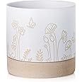 Amazon.com : Nihow Ceramic Plant Pot: 6 Inch Planter with Drainage Hole ...