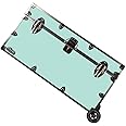 Amazon.com: C&N Footlockers - Large Undergrad Storage Trunk w/Wheels ...